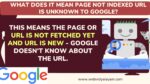 Why Page is Not Indexed: URL is Unknown to Google and How to Fix - Web ...